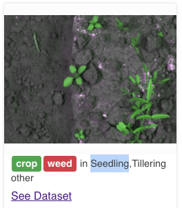 Show task type on ResultCard in Explore · Issue #256 · Weed-AI/Weed-AI · GitHub