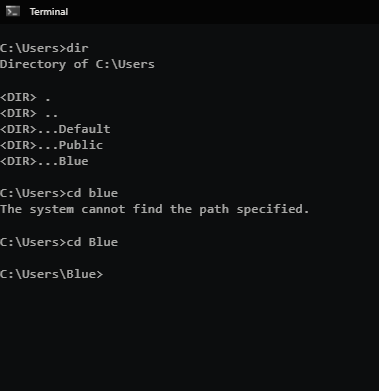 CMD is case sensitive · Issue #208 · blueedgetechno/win11React · GitHub