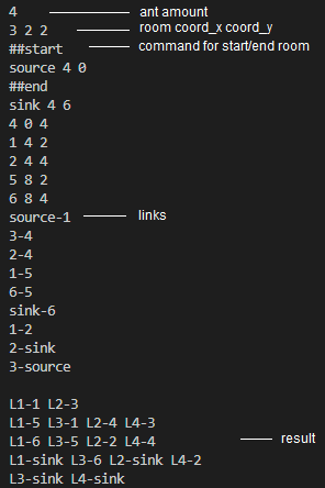 GitHub - quachuoi2/Lem_in: A network graph - max flow algorithm program