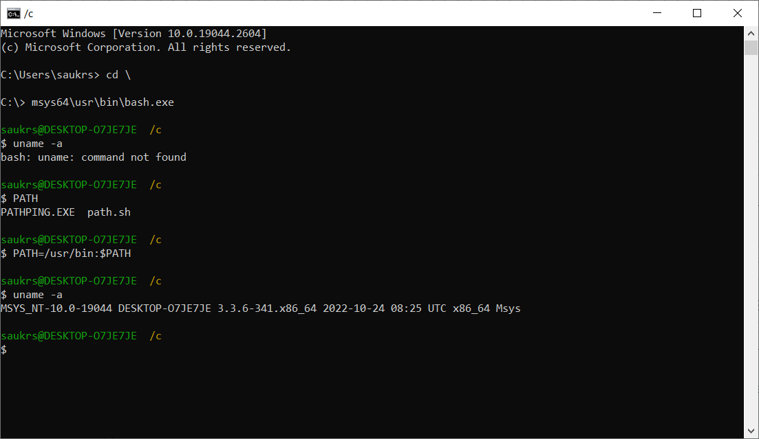 Virtual terminal processing is disabled on MSYS2 in Windows terminal ...