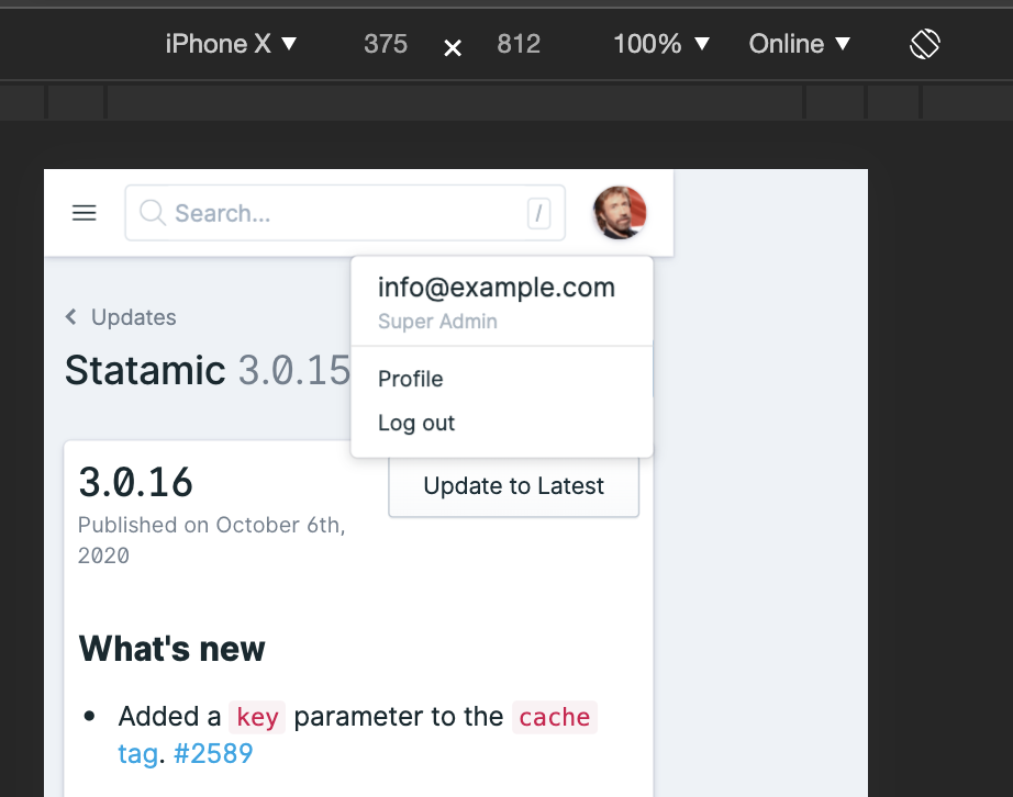 Control Panel UI doesn't take up full width · Issue #2621 · statamic/cms · GitHub