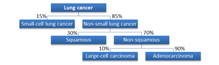 GitHub - Practicum-Team-2/LungCancerClassifier