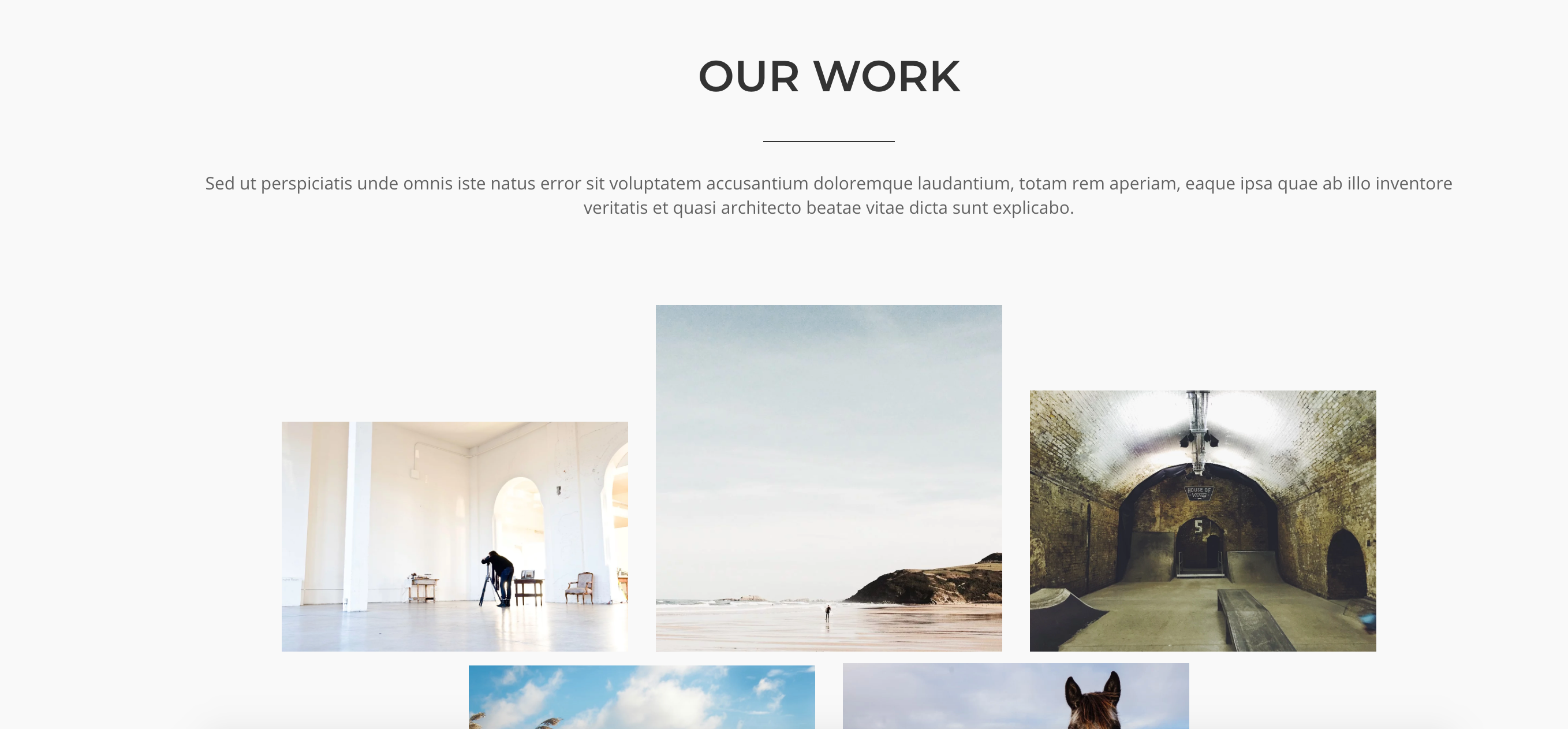 LiteSpeed Lazy Loading negatively impacts the SO Image Grid widget ...