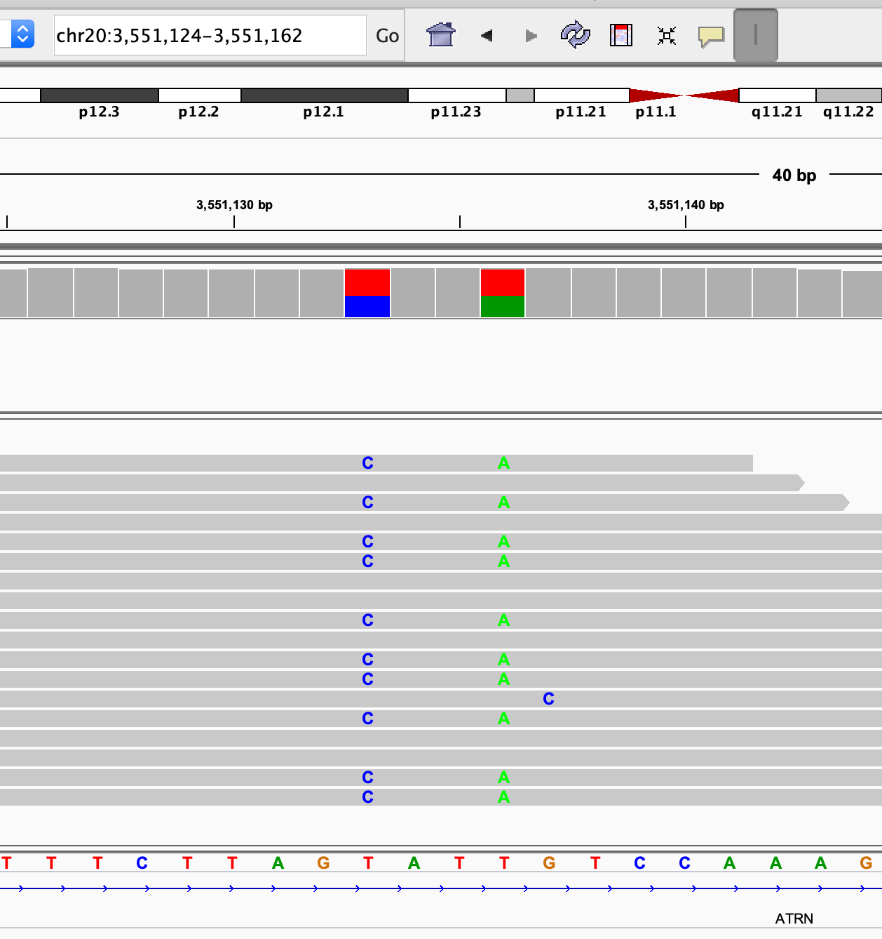 Two closeby SNPs are called as 'complex' · Issue #702 · freebayes/freebayes · GitHub