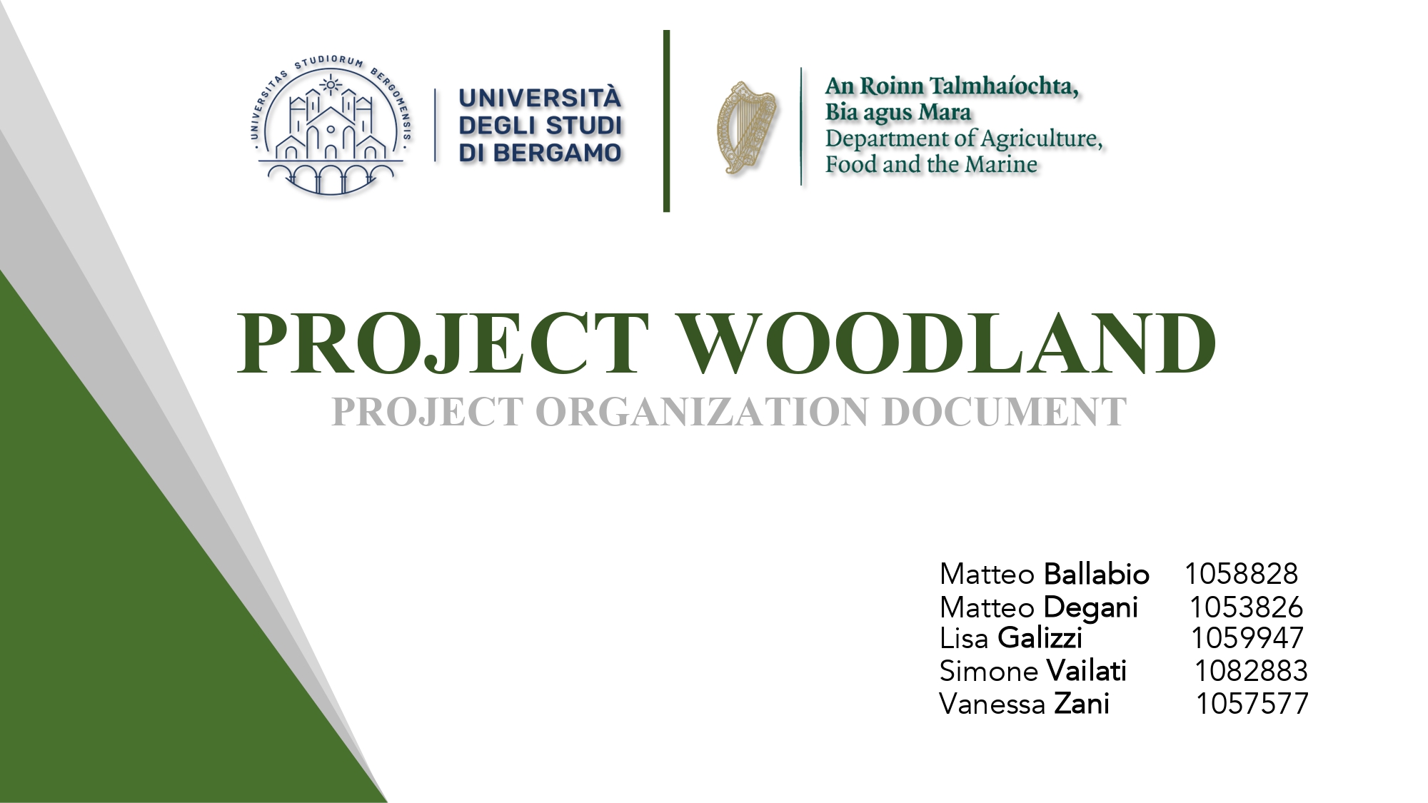 GitHub - M-ballabio1/Project-Woodland: Project Woodland is a project ...