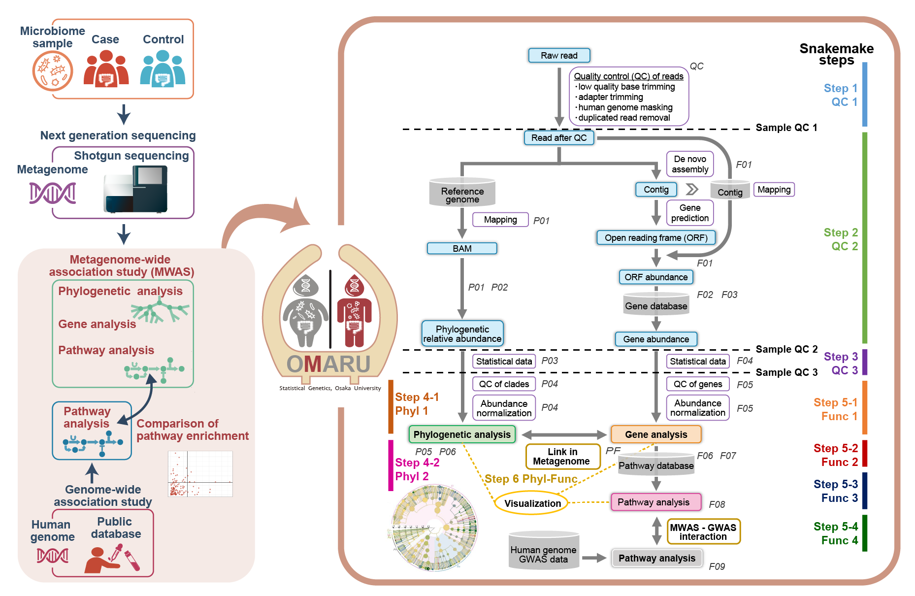 GitHub - toshi-kishikawa/OMARU: Omnibus metagenome-wide association study with robustness