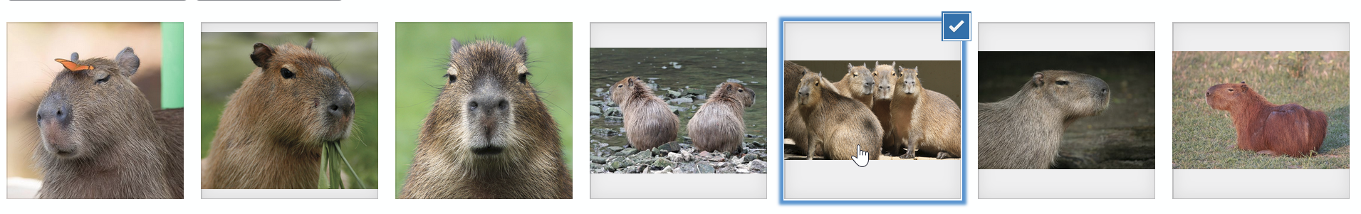 GitHub - drvisiegroep/acf-tutorial: basis acf tutorial