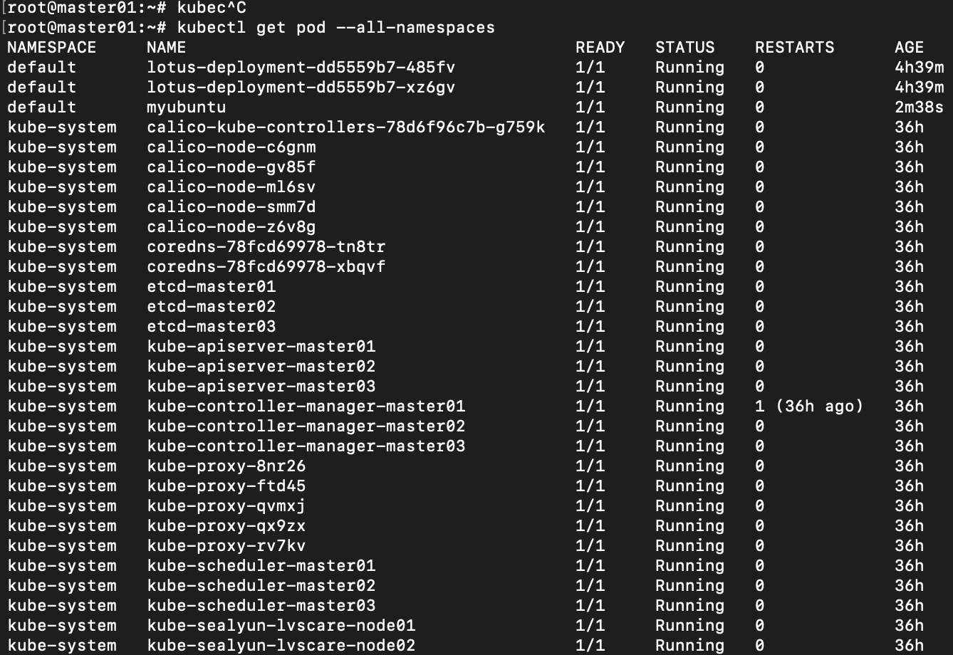 POD 启动后 DNS 有问题 · Issue #848 · labring/sealos · GitHub
