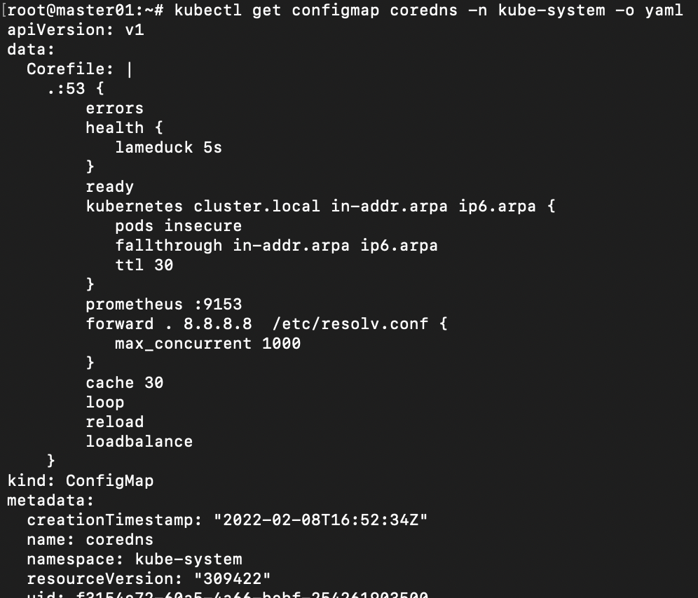 POD 启动后 DNS 有问题 · Issue #848 · labring/sealos · GitHub