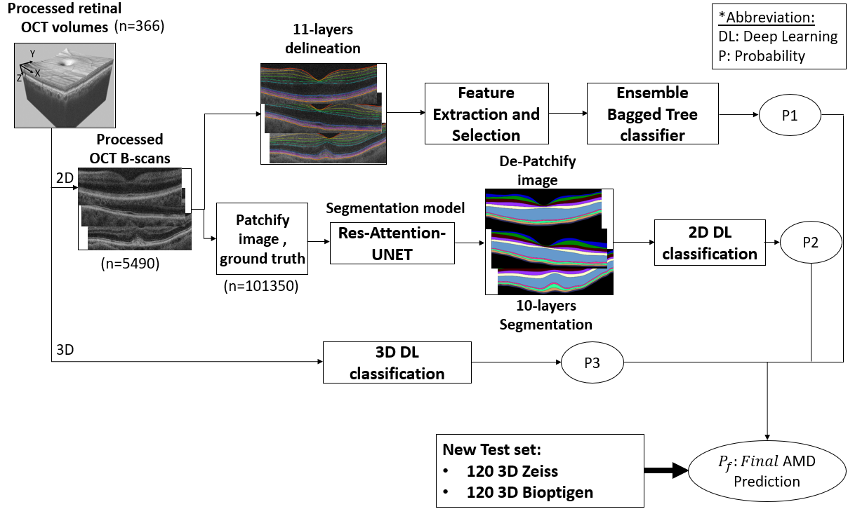 GitHub - Mousamoradi/AMD-Diagnosis: Non-advanced AMD grades [G1,2,3] detection by deep ensemble ...