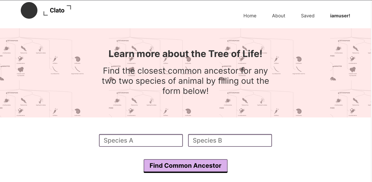 GitHub - inst377-group3/Final-Project-Base: A base for group projects ...