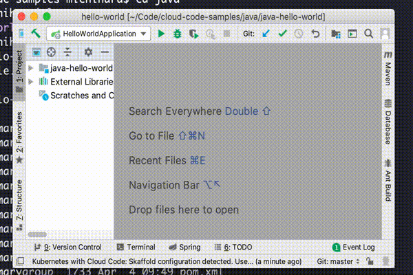 Deploying with run configuration created via `Skaffold detected` balloon fails · Issue #2518 ...