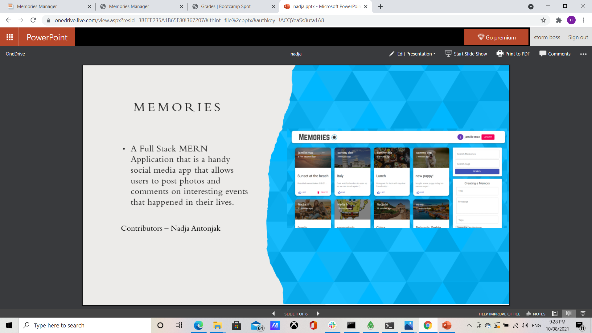 GitHub - nadjaantonjak/picture-promise