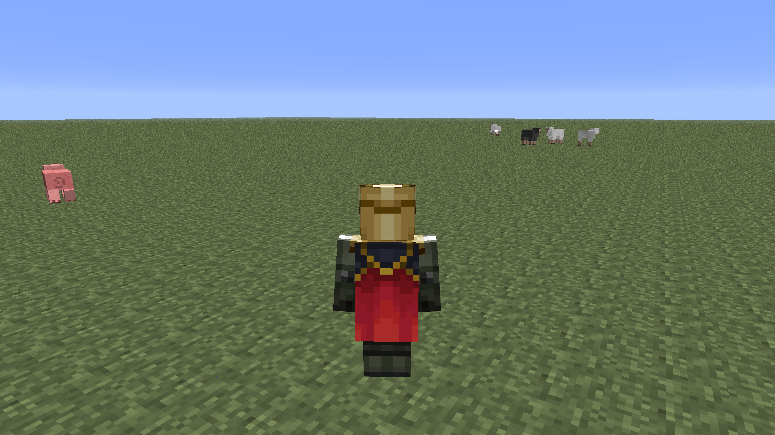 Capes appear stretched · Issue #3 · Amb0s/slim-skin · GitHub