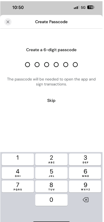 Ios Cannot Enable Passcode · Issue 68 · 5afesafe Support · Github