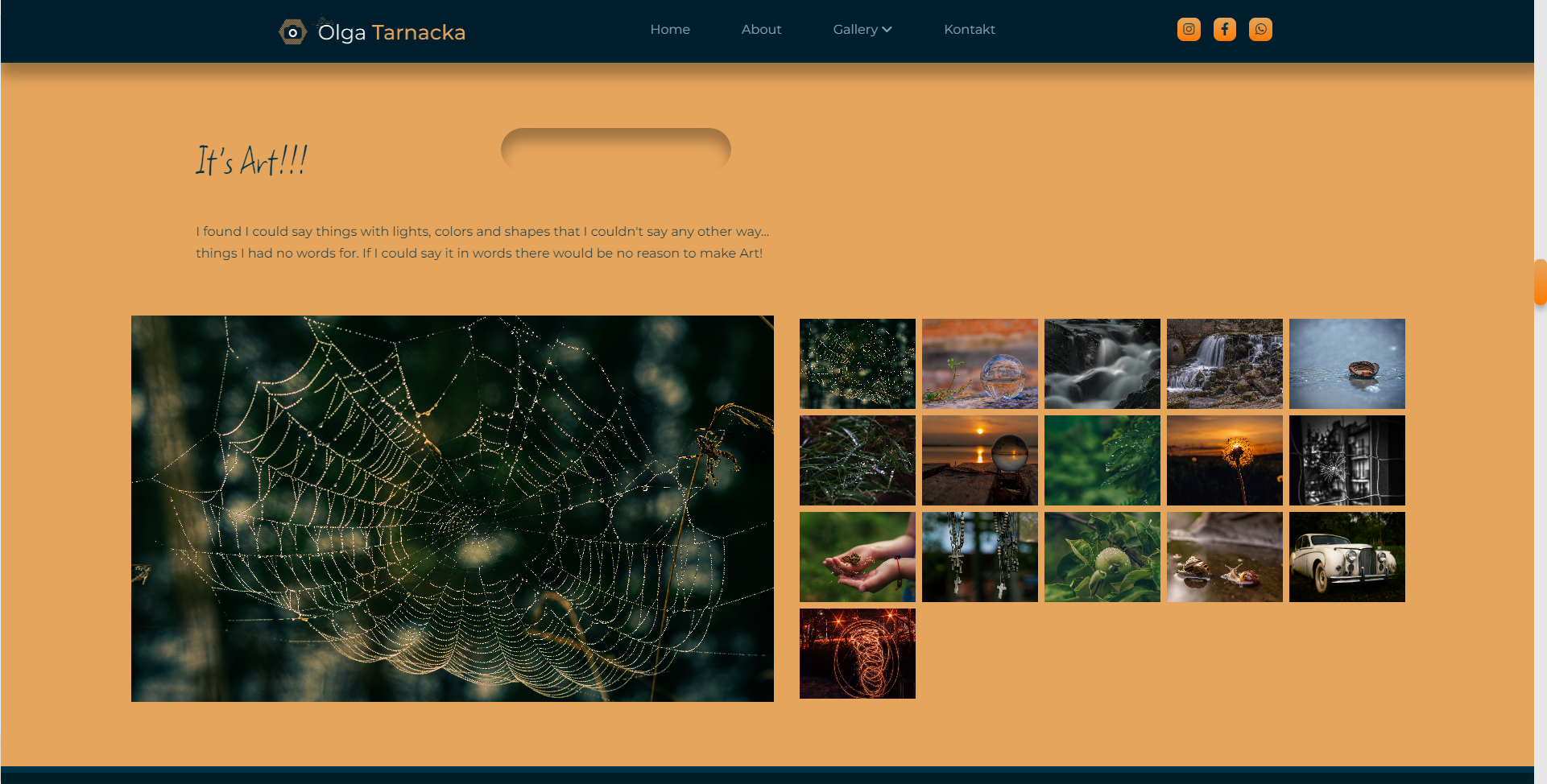 GitHub - Pilag6/Olga-Tarnacka-Photos: 📸 Portfolio website for a Photographer based in Poland