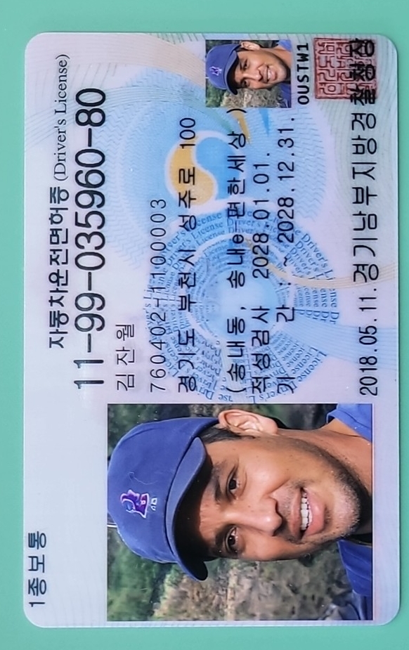 GitHub - DASH-Lab/idcard_fraud_detection