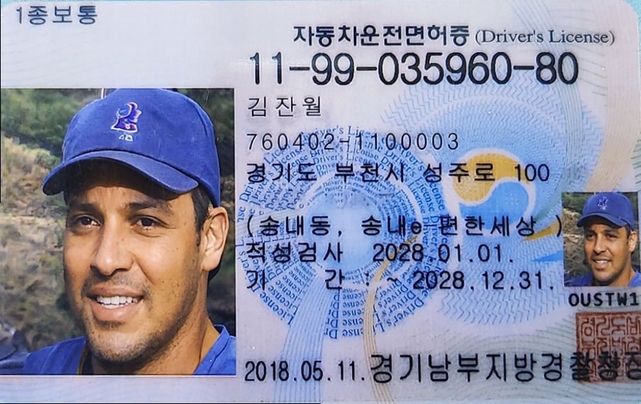 GitHub - DASH-Lab/idcard_fraud_detection