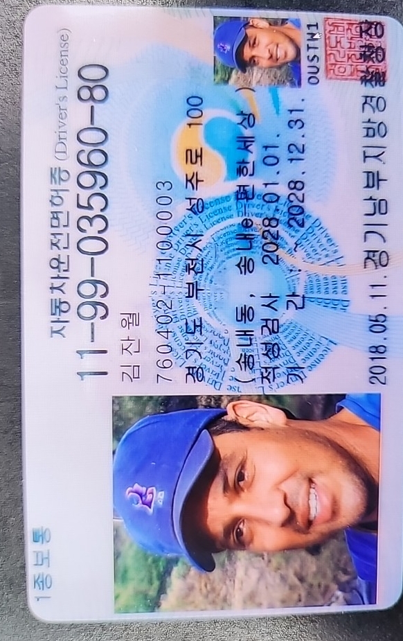 GitHub - DASH-Lab/idcard_fraud_detection