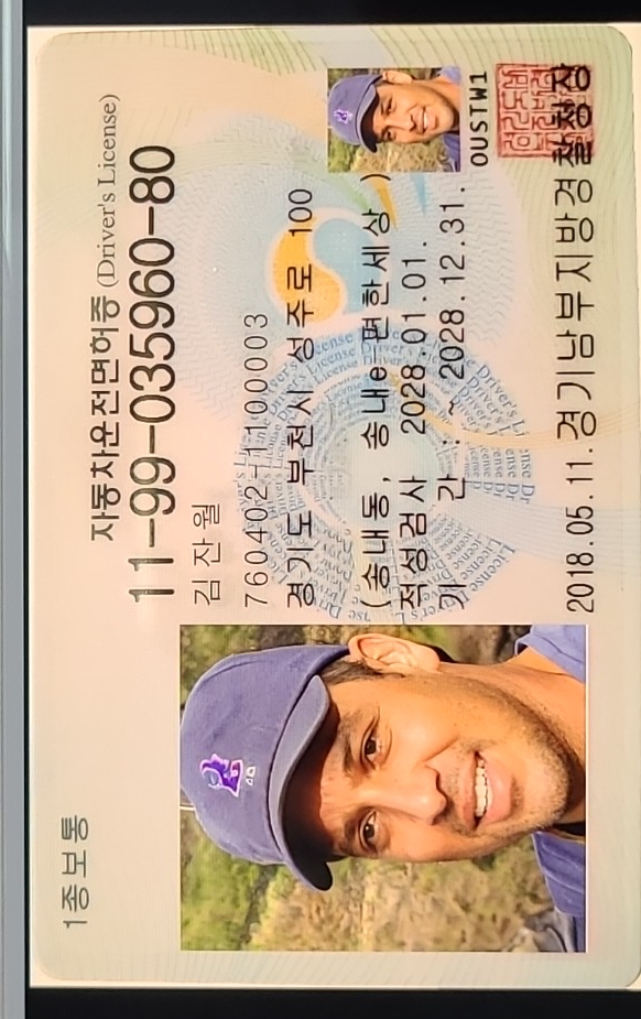 GitHub - DASH-Lab/idcard_fraud_detection