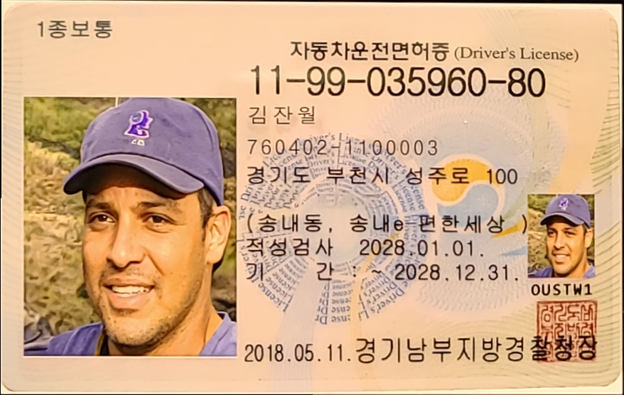 GitHub - DASH-Lab/idcard_fraud_detection