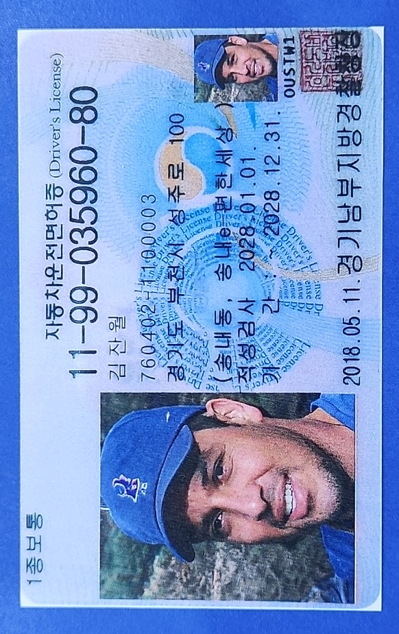 GitHub - DASH-Lab/idcard_fraud_detection