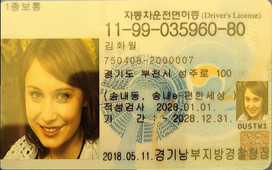 GitHub - DASH-Lab/idcard_fraud_detection