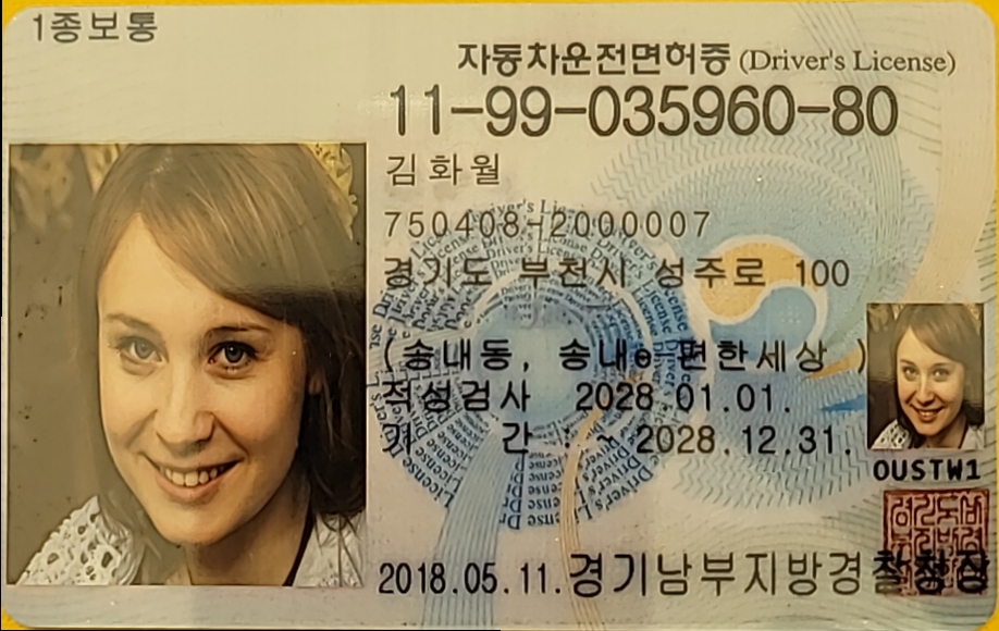 GitHub - DASH-Lab/idcard_fraud_detection