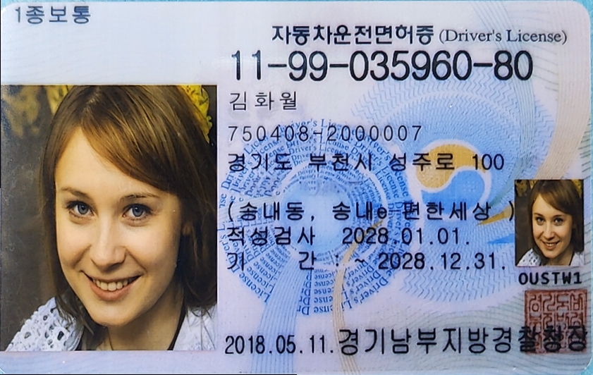 GitHub - DASH-Lab/idcard_fraud_detection