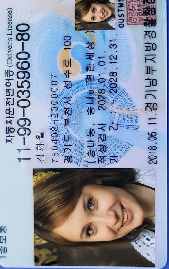 GitHub - DASH-Lab/idcard_fraud_detection