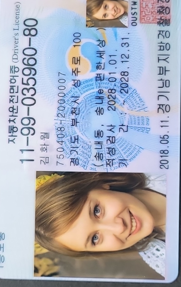 GitHub - DASH-Lab/idcard_fraud_detection