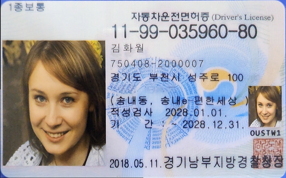 GitHub - DASH-Lab/idcard_fraud_detection