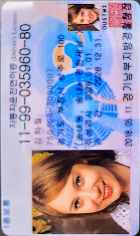 GitHub - DASH-Lab/idcard_fraud_detection