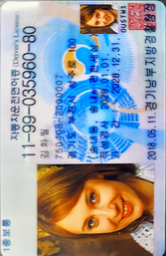 GitHub - DASH-Lab/idcard_fraud_detection