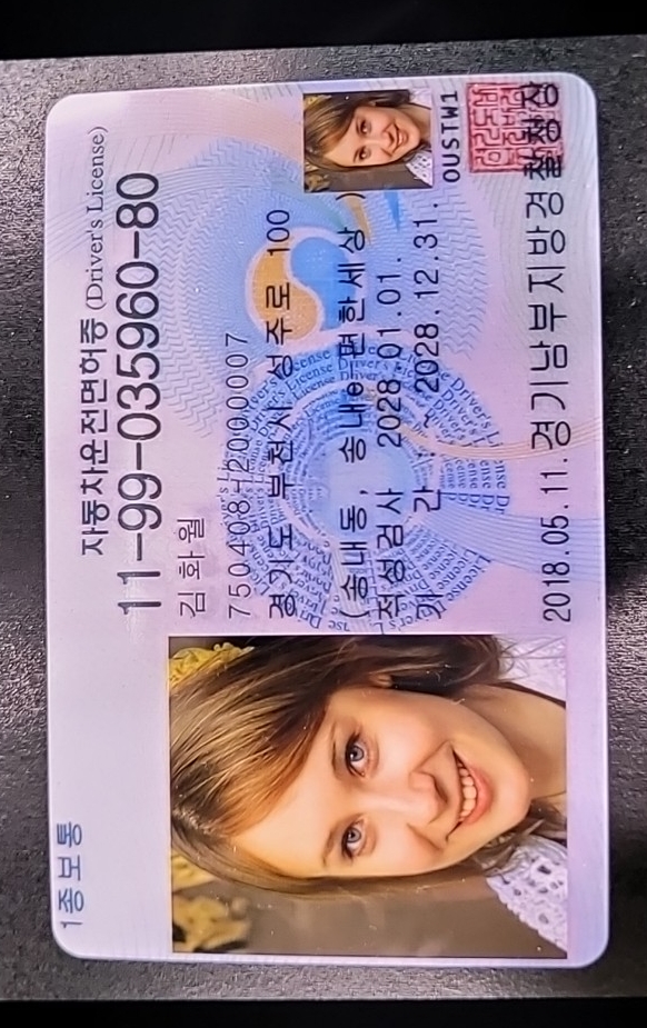 GitHub - DASH-Lab/idcard_fraud_detection