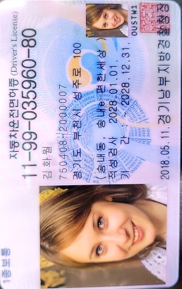 GitHub - DASH-Lab/idcard_fraud_detection