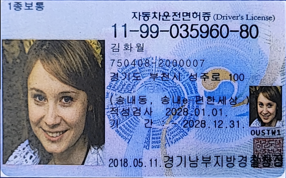 GitHub - DASH-Lab/idcard_fraud_detection