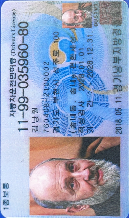 GitHub - DASH-Lab/idcard_fraud_detection