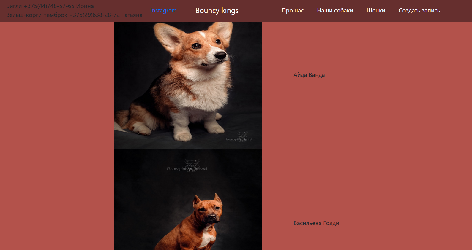 GitHub - KalininaEkaterina/ISP_lab3-4