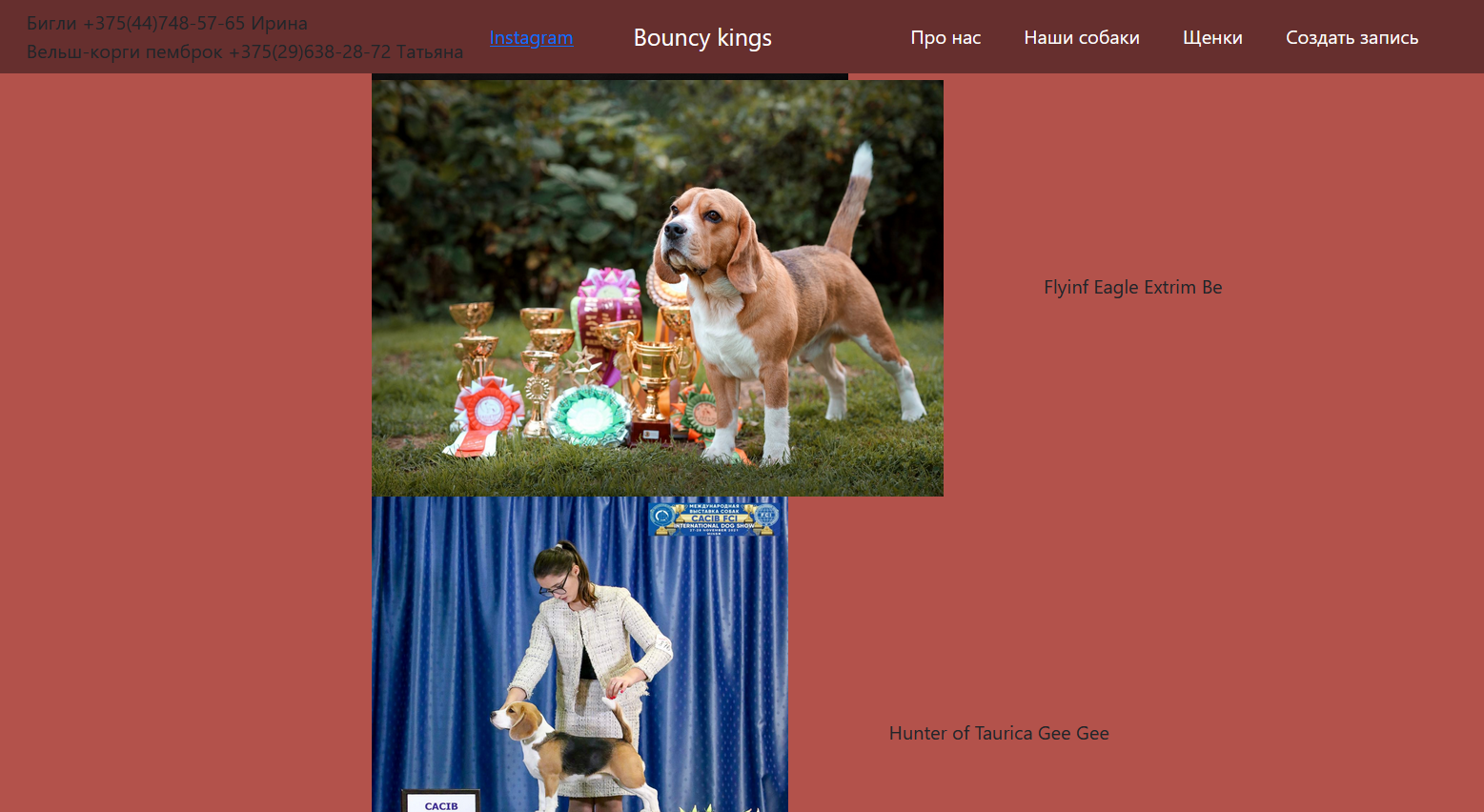 GitHub - KalininaEkaterina/ISP_lab3-4