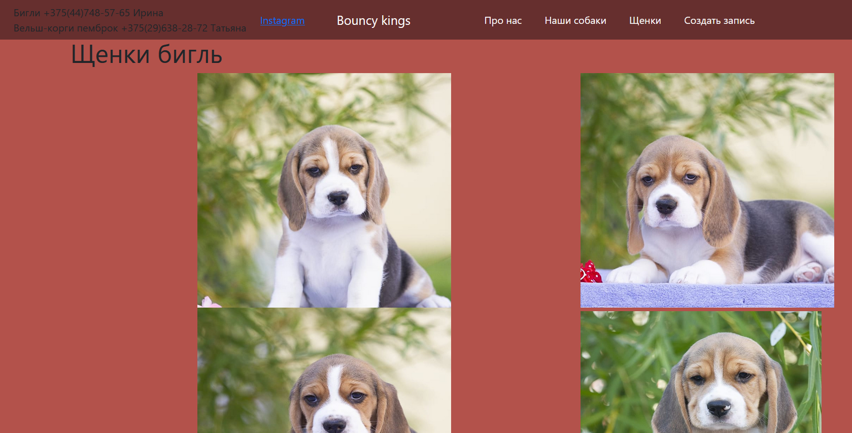 GitHub - KalininaEkaterina/ISP_lab3-4