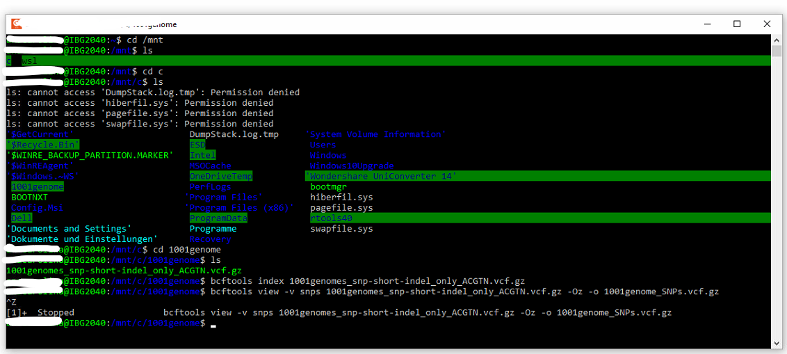 Problem When Trying To Split A Vcf File Into Snp And Indel · Issue 1872 · Samtoolsbcftools 