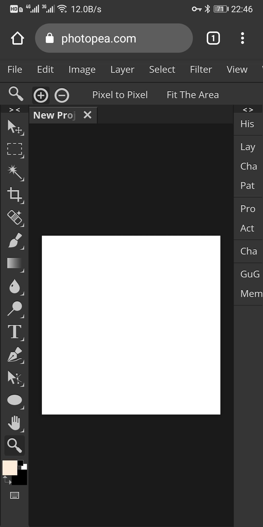 Issue: With Rulers enabled, part of image is covered when Fit The Area ...