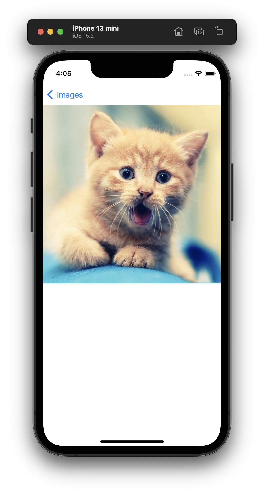 GitHub - Renat-M/Swift_piscine: 📚🏊‍♂️ 2 weeks of hardcore Swift programming on the edge of your ...