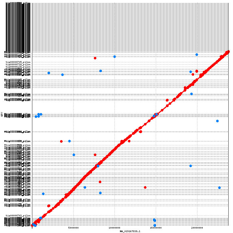 4. Result - hychim/UU_GenomeAnalysis GitHub Wiki