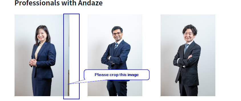 Bug And Suggestion In EN · Issue #462 · andaze/WebCorporate · GitHub
