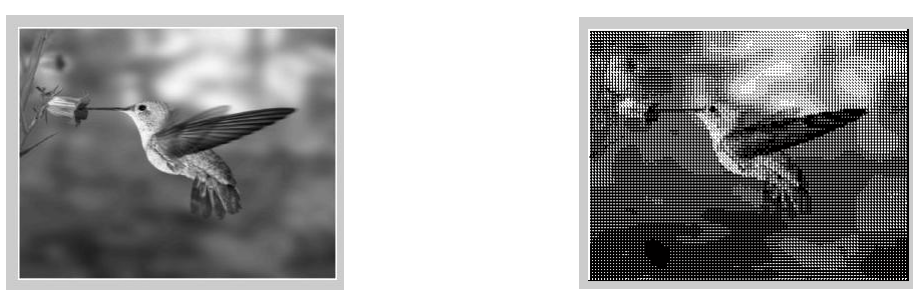 GitHub - Ammar-theScorpion/omp-image-dithering
