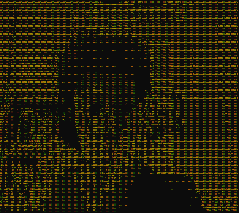 GitHub - JohnnyC0rp/ascii-video-player: This script plays input video in ascii characters in ...