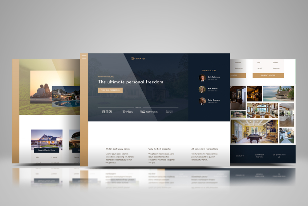 GitHub - araicabenjamin/nexter