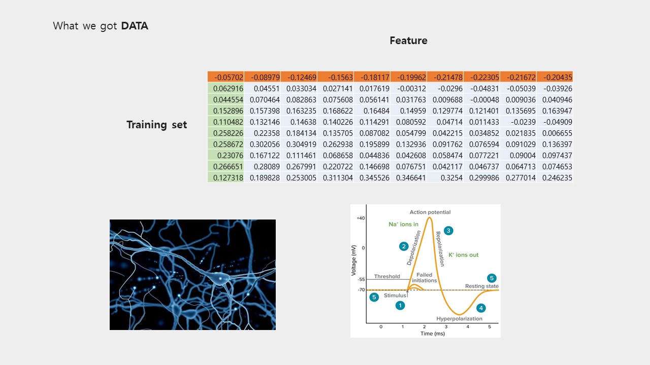Github Asdfqrt Spike Sorting Deep Learning Based Spike Sorting Method For Extracellular